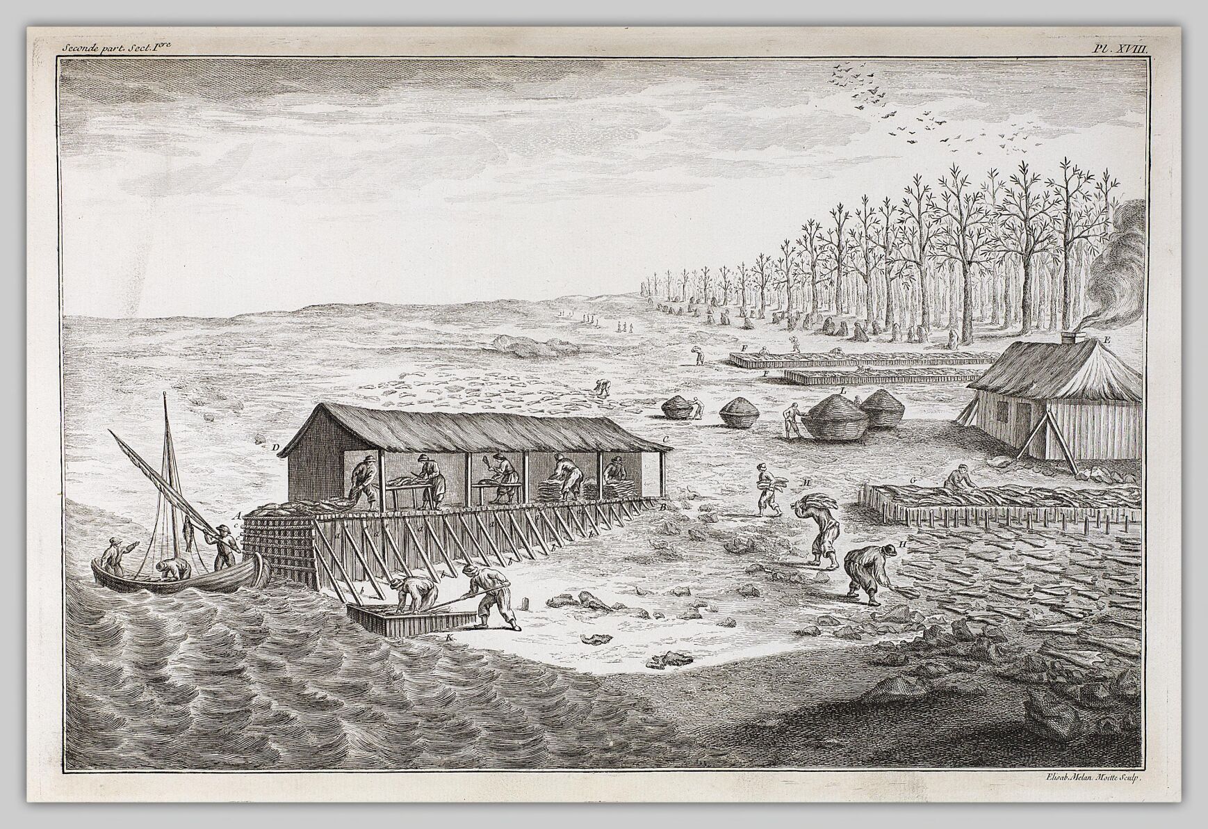 Canada’s early settlements ran on rum, with grim and destructive results