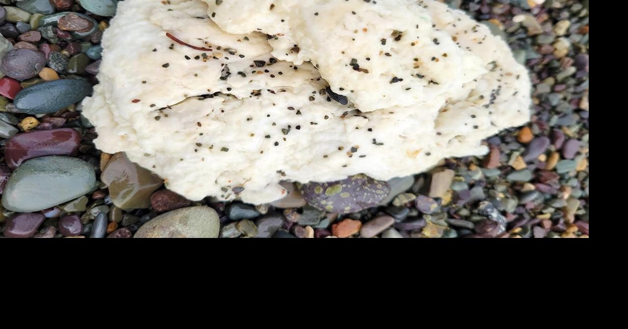 Is it pickled fat? Pierogi? Newfoundland 'blobster' expert eyeing weird ...