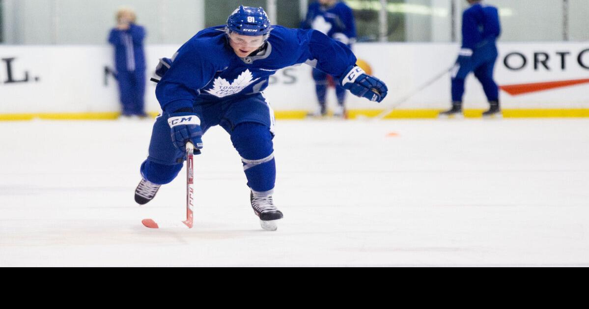 Six step up at Maple Leafs development camp