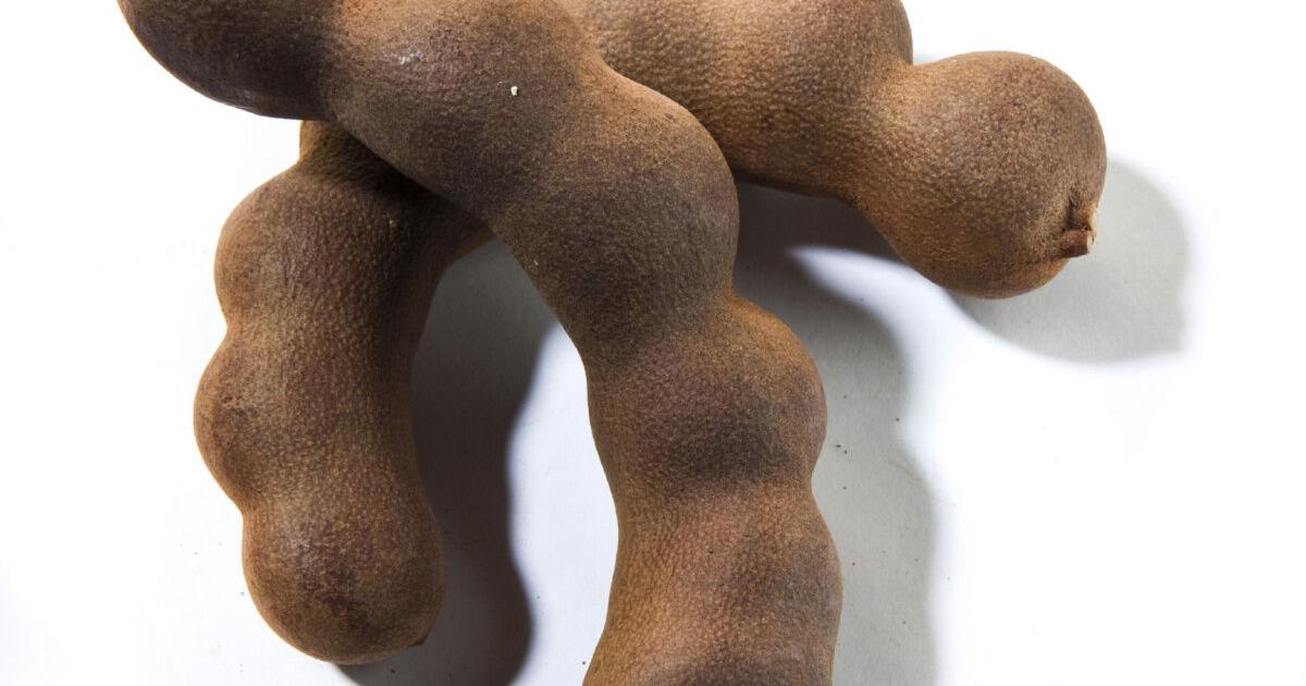 Tamarind adds sweet-tart flavour to dishes: Fresh Bites