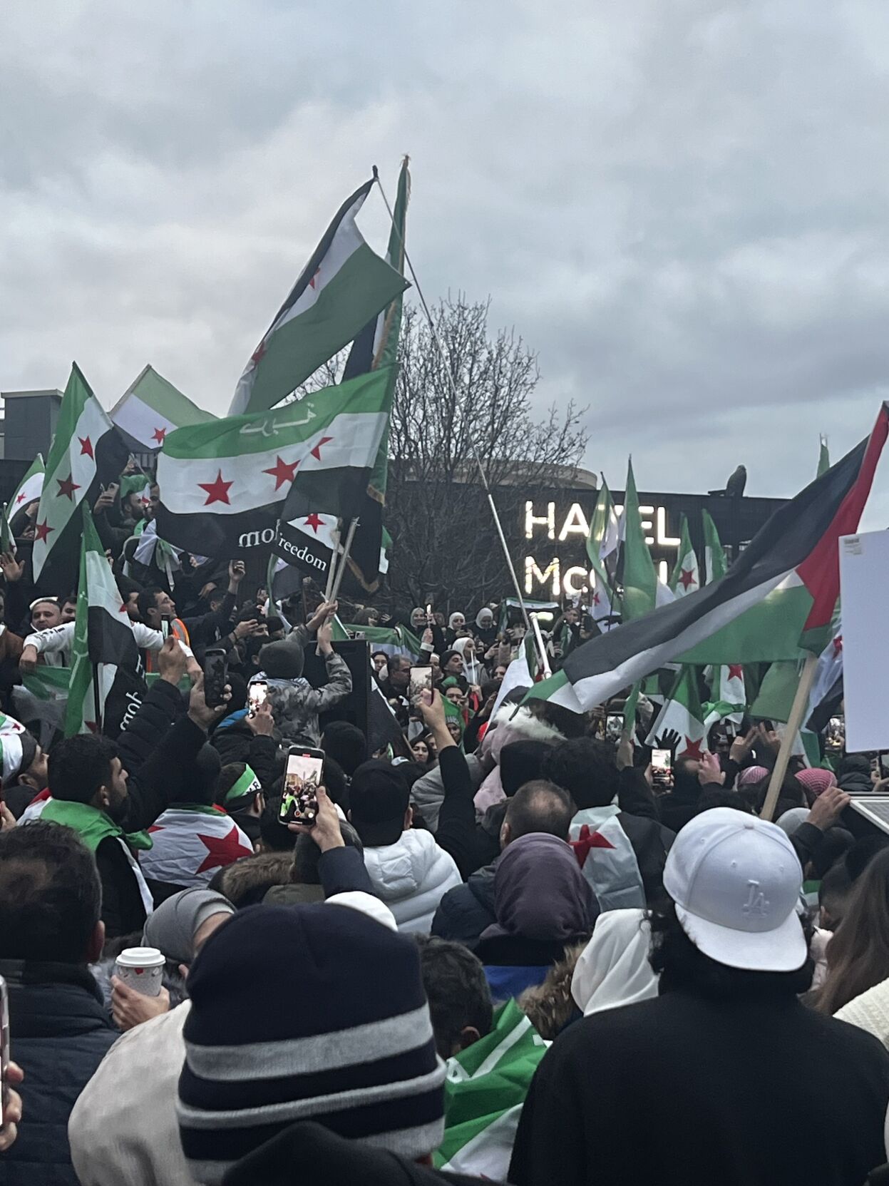 Syrians in Toronto celebrate Assad fall with mixed emotions