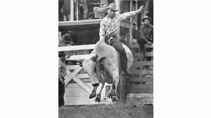 Capturing a country through sport: The crossovers