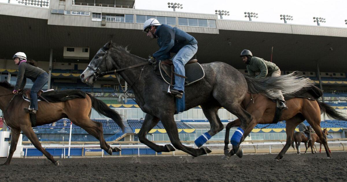 Thoroughbreds return to Woodbine on Saturday