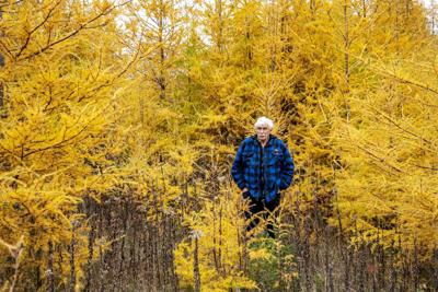 Inside the fight for $120B: How Canada’s broken treaty promise sparked ...