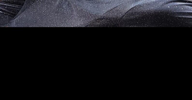 Filmmaker Marjan Hashemi’s big five cultural influences