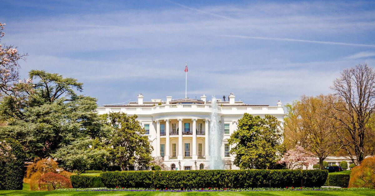 How 24-year-old Taylor Weyeneth landed at the forefront of White House ...