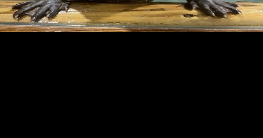 Toronto Zoo says goodbye to otter Talise