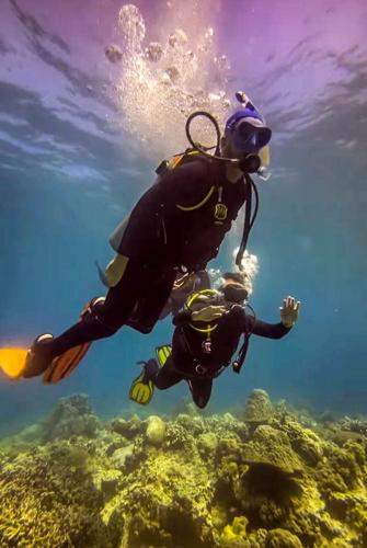 Why the Philippines is one of the best places to scuba dive