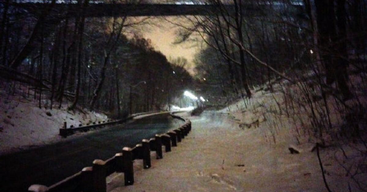Explore: Snowshoeing Toronto in Tom Thomson’s footsteps