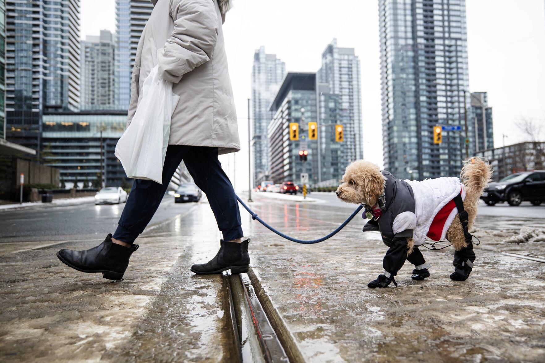 Snowfall recap: Toronto weather alert lifted; About 200 collisions reported