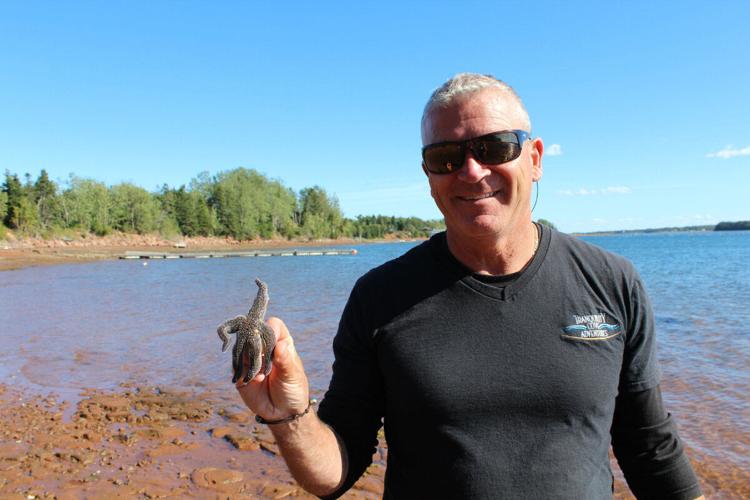Guided starfish hunt on Prince Edward Island welcomes kids