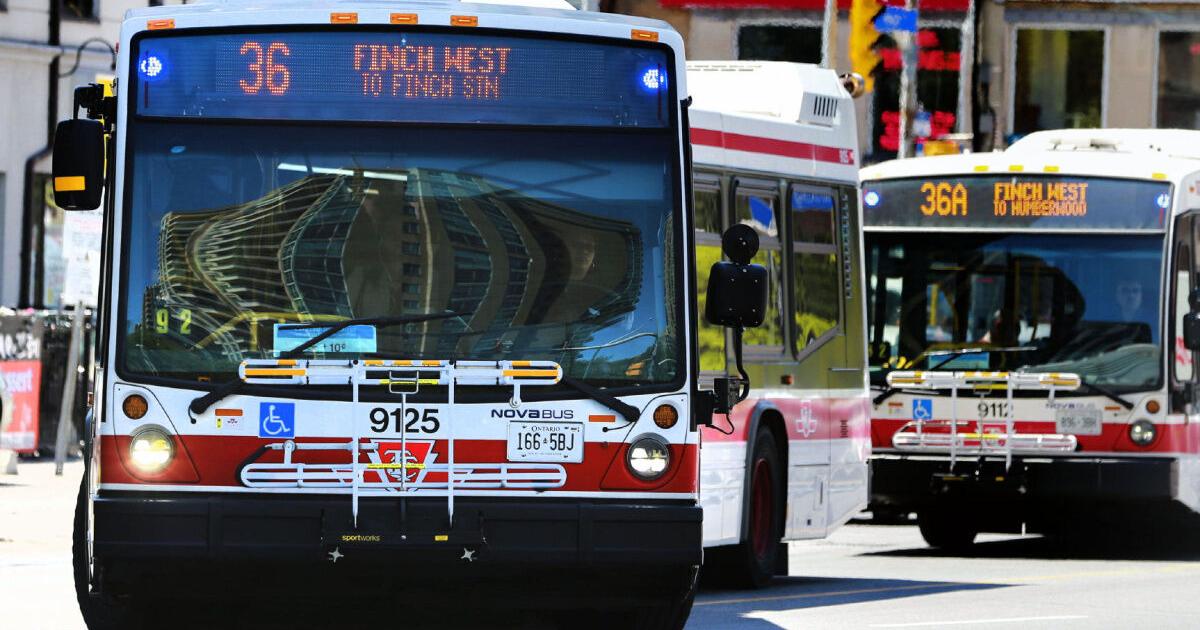 Hazards for TTC bus drivers include knives, fruit