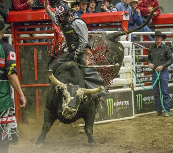 Watch rodeo like a pro: A cheat sheet for 5 of the Calgary Stampede’s ...