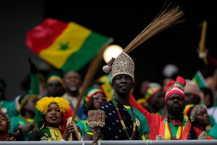Fans bring life to the Africa Cup of Nations, in photos