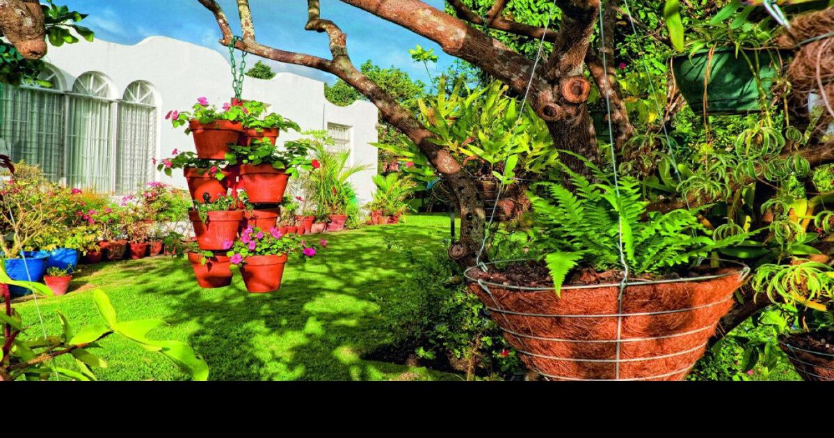 Travis: For me, a successful garden begins with a pot