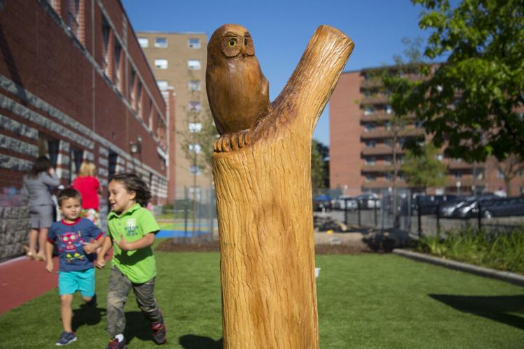Dynamic playgrounds make outdoor learning magical