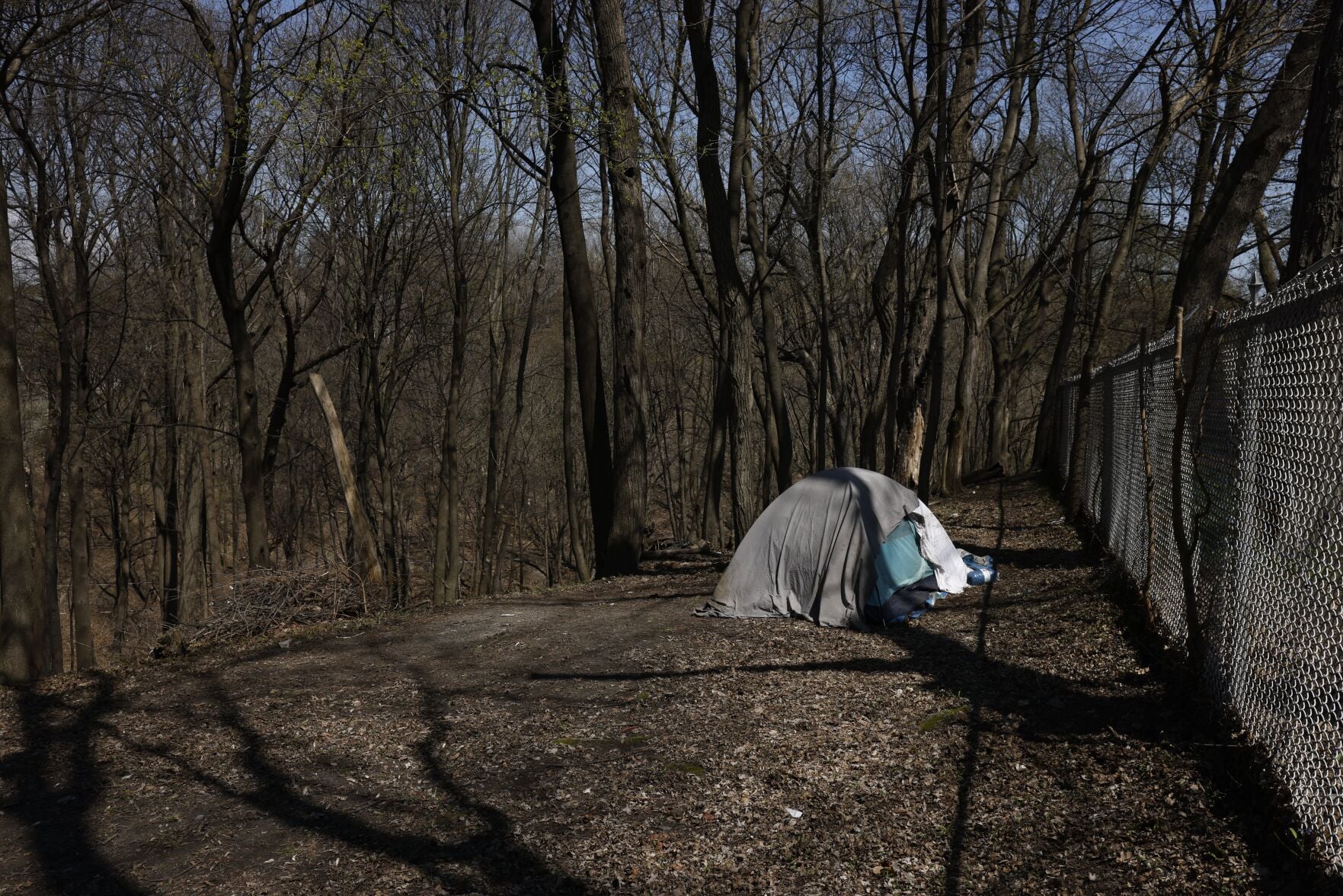 Number of Toronto homeless encampments down 70 per cent