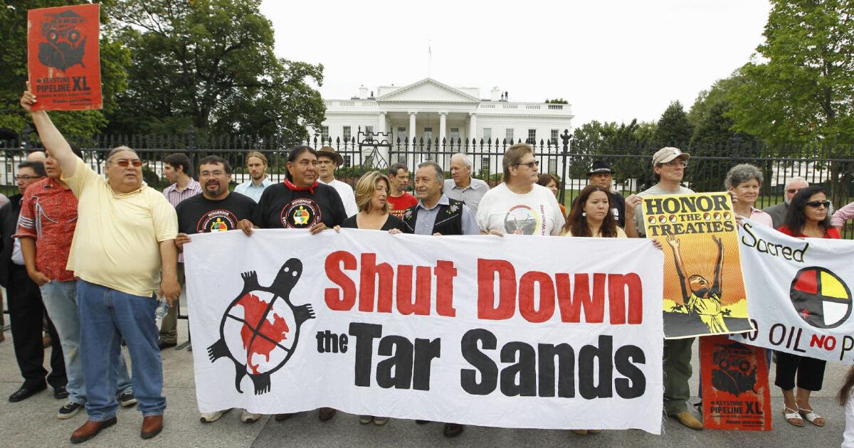 Author Naomi Klein Arrested In Oilsands Protest