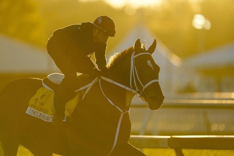 Catching Freedom shows why it was an 'easy decision' to enter him in ...