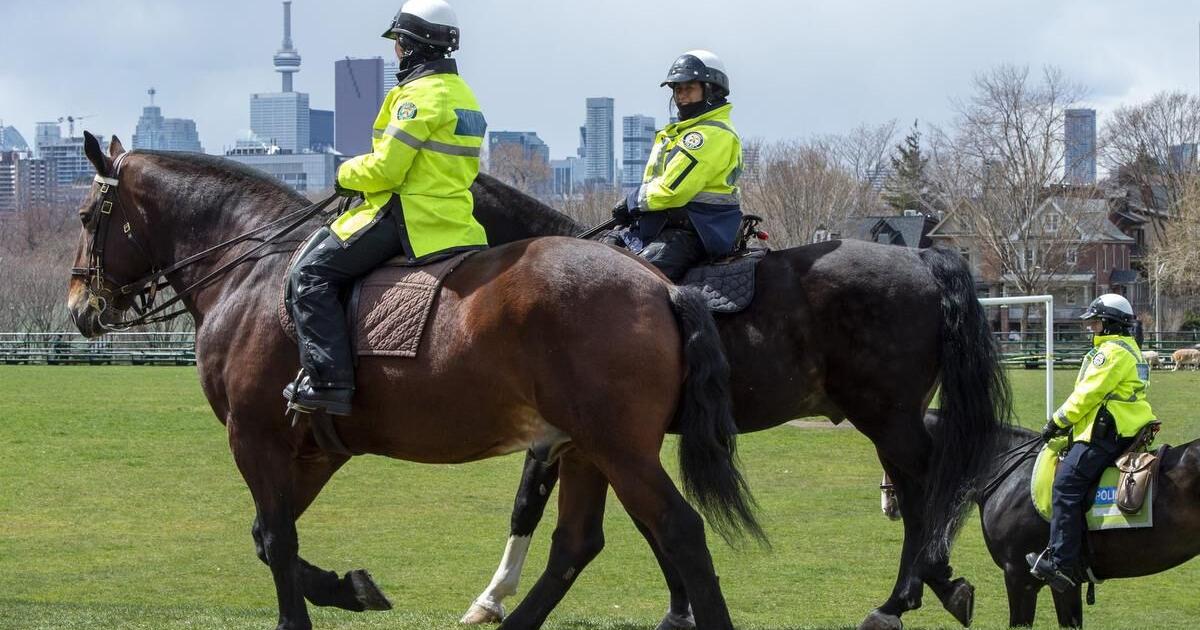 Calling snitch lines opens pandemic’s box