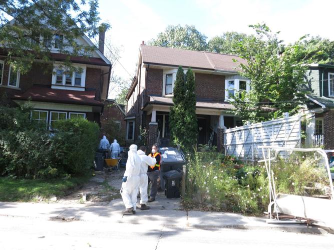 City targets Beach cat hoarder