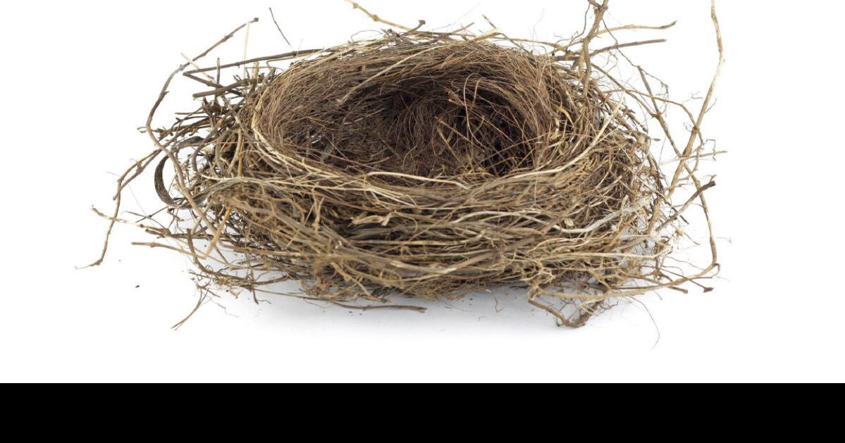 ‘Bird nesting’ offers divorcing parents a means of transition