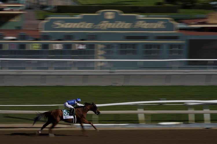 White Abarrio wins $6M Breeders' Cup Classic, trainer Rick Dutrow back ...
