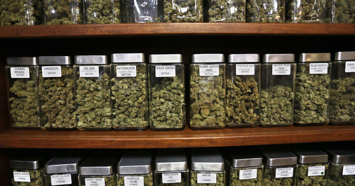Confusion over pot laws has consequence