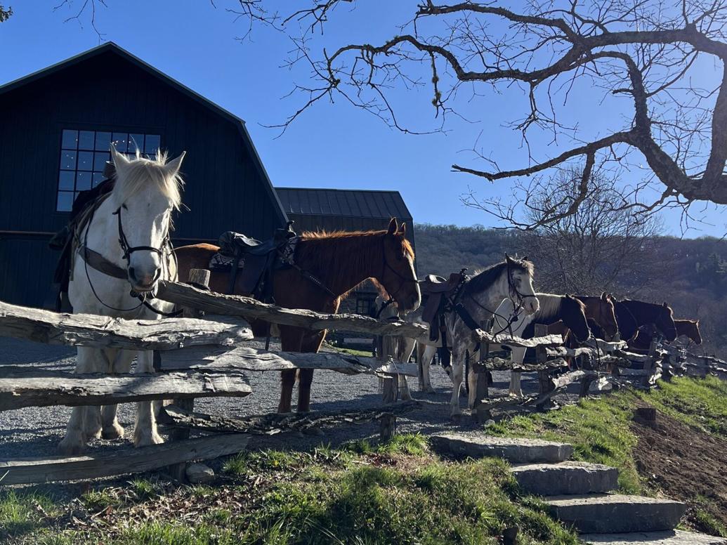 Fulfill your ranch life fantasies at this rustic-luxe resort