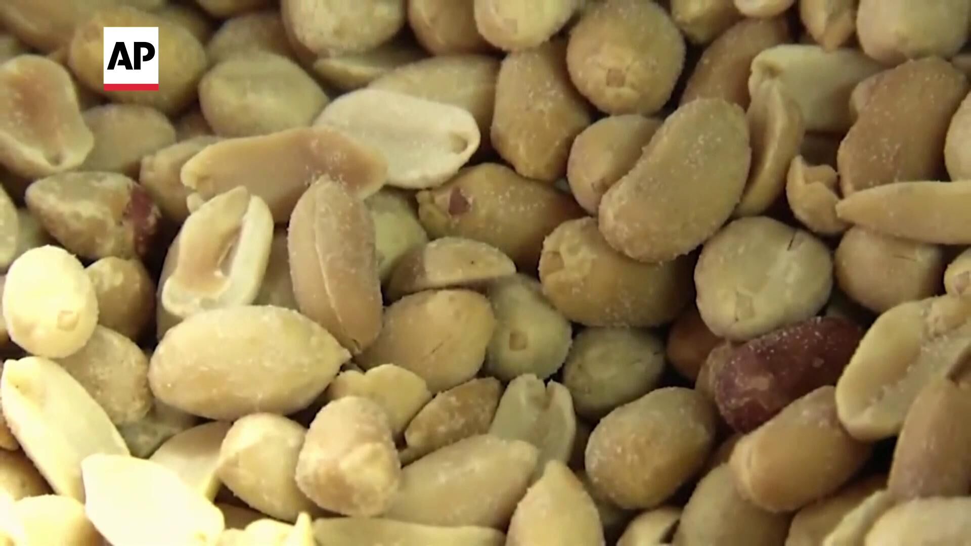Advice to feed babies peanuts early and often helped thousands of kids ...