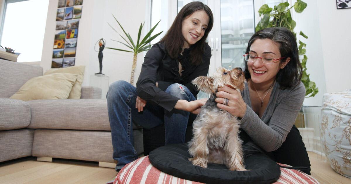 Pet adoption: Why adopting a pet requires an interview, application