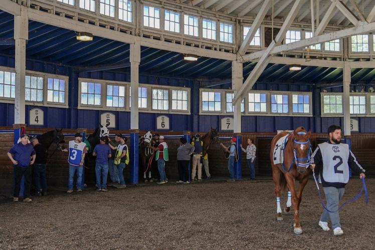 Laurel Park waited 114 years for the Preakness. It may be a farewell as ...
