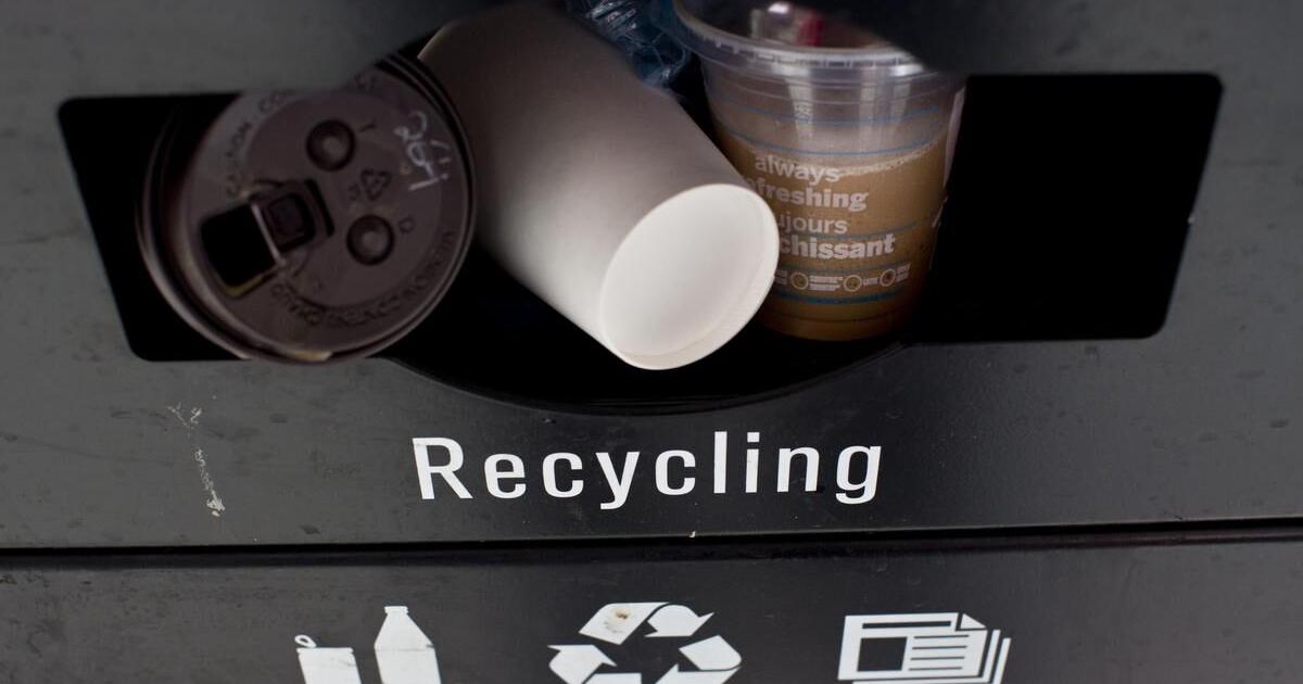 New blue bin system will finally recycle Tim Hortons, Starbucks cups ...