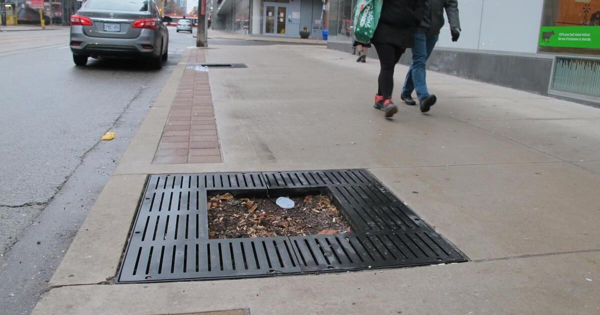 Church Street tree pits have never been home to a tree — and never will