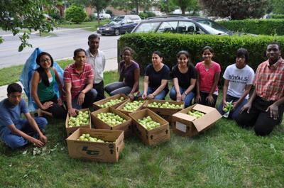 backyard bounty fruit trees