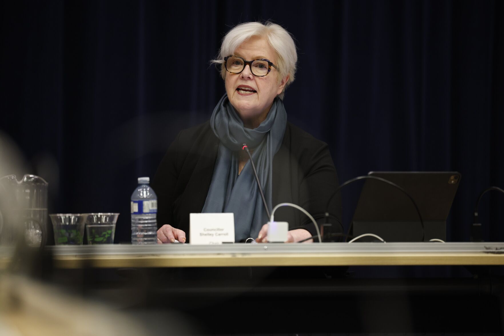 Toronto police board elects Shelley Carroll as new chair