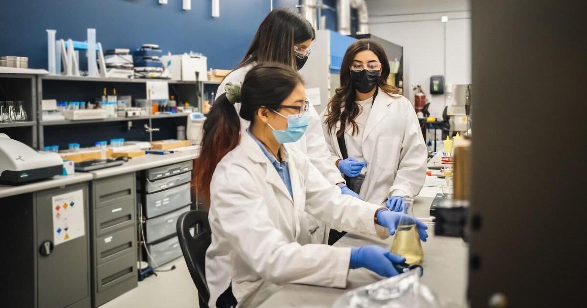 Scraps of fabric: This Kitchener company is creating an alternative to ...