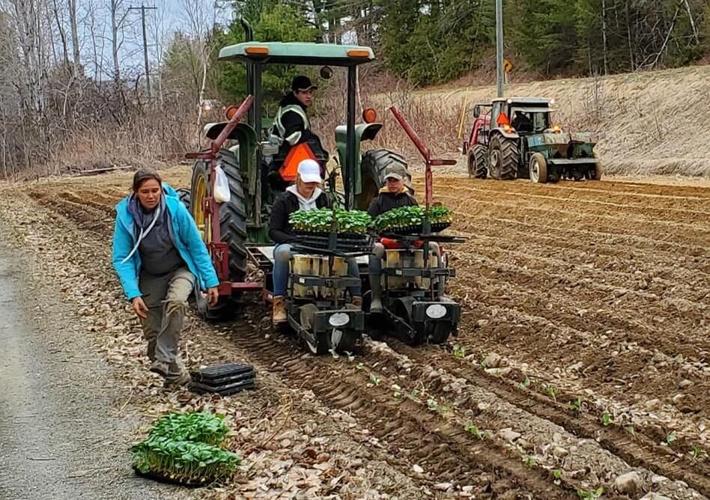After banning migrant farm workers, this ‘country boy’ premier ...