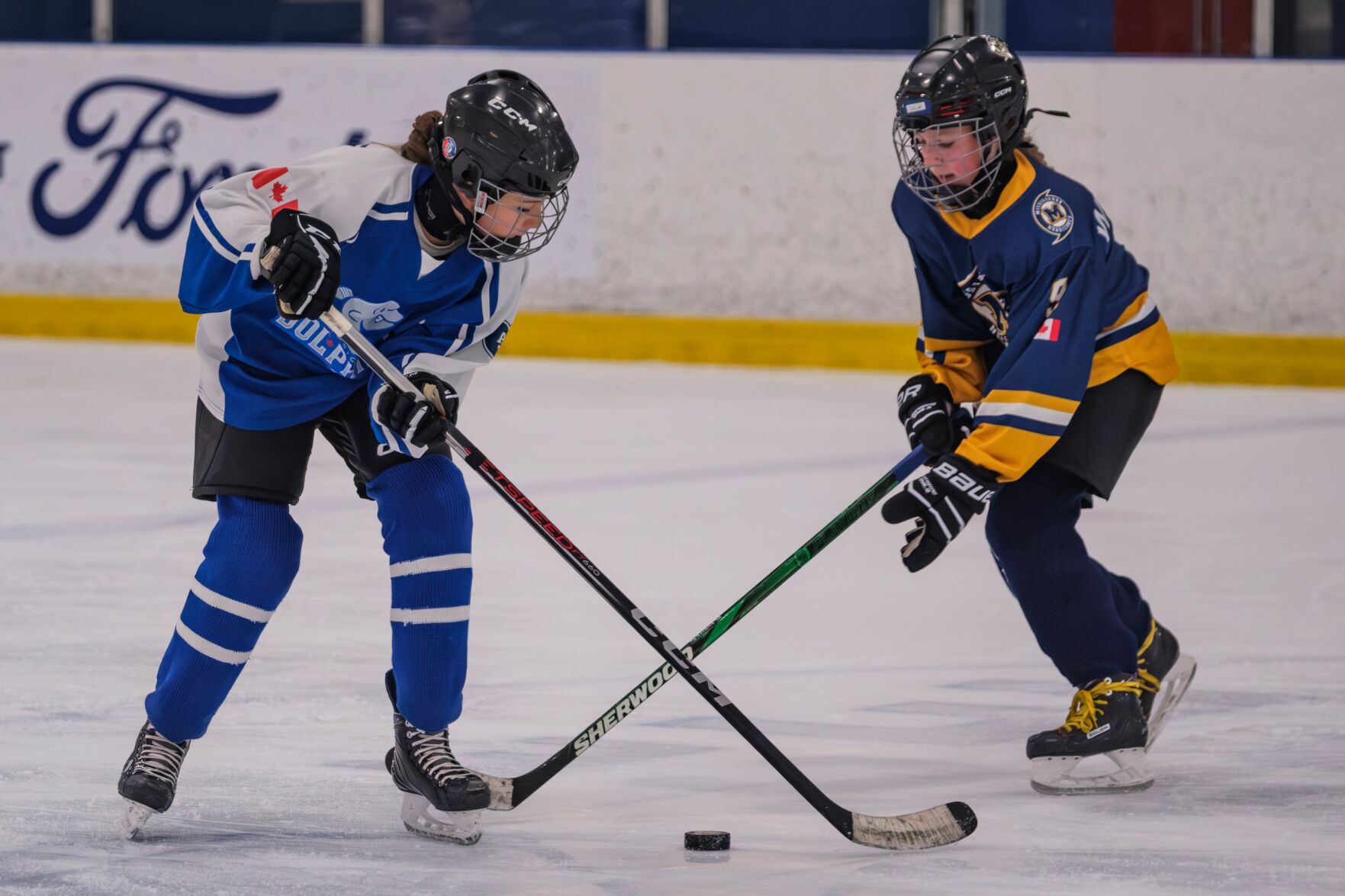 How one lab is aiming to solve hockey’s prime-time ice issue
