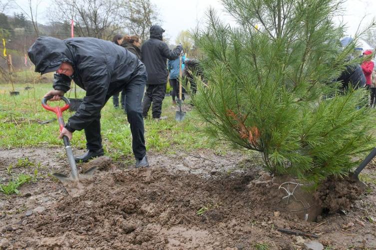 Planting trees to make a difference
