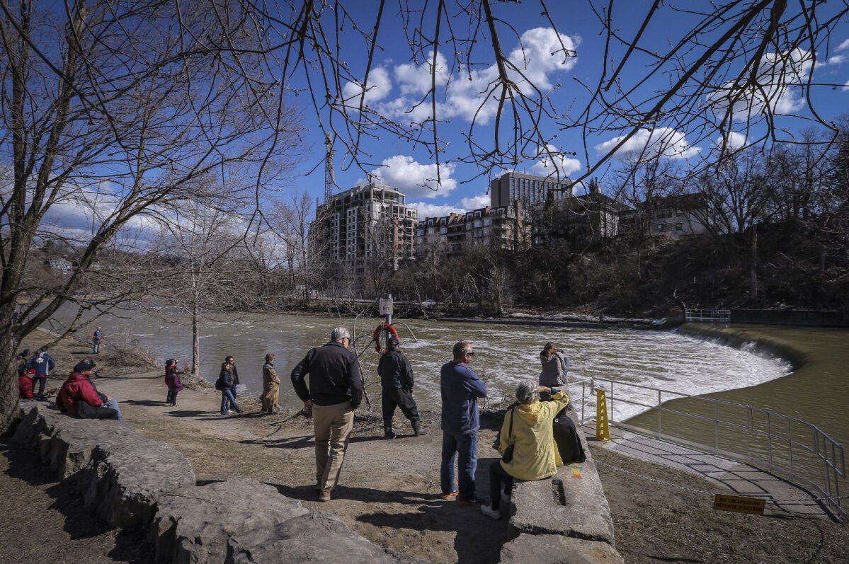 Humber fairly healthy for an urban river, says World Wildlife Fund