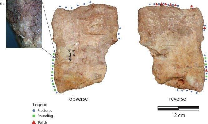Discovery of mastodon blood on ice-age tools first of its kind in Ontario