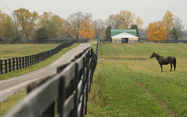 Last gallop for legendary Windfields Farm
