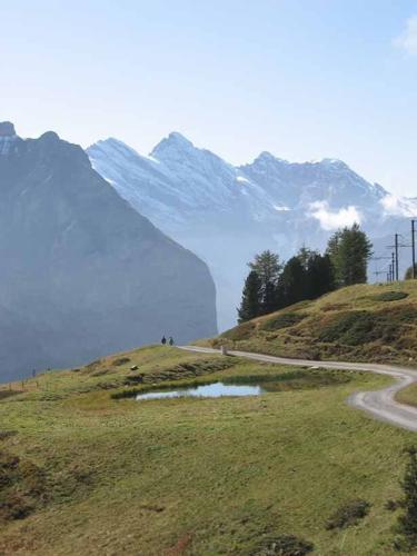 The gentle rhythms of Switzerland's timeless traditions