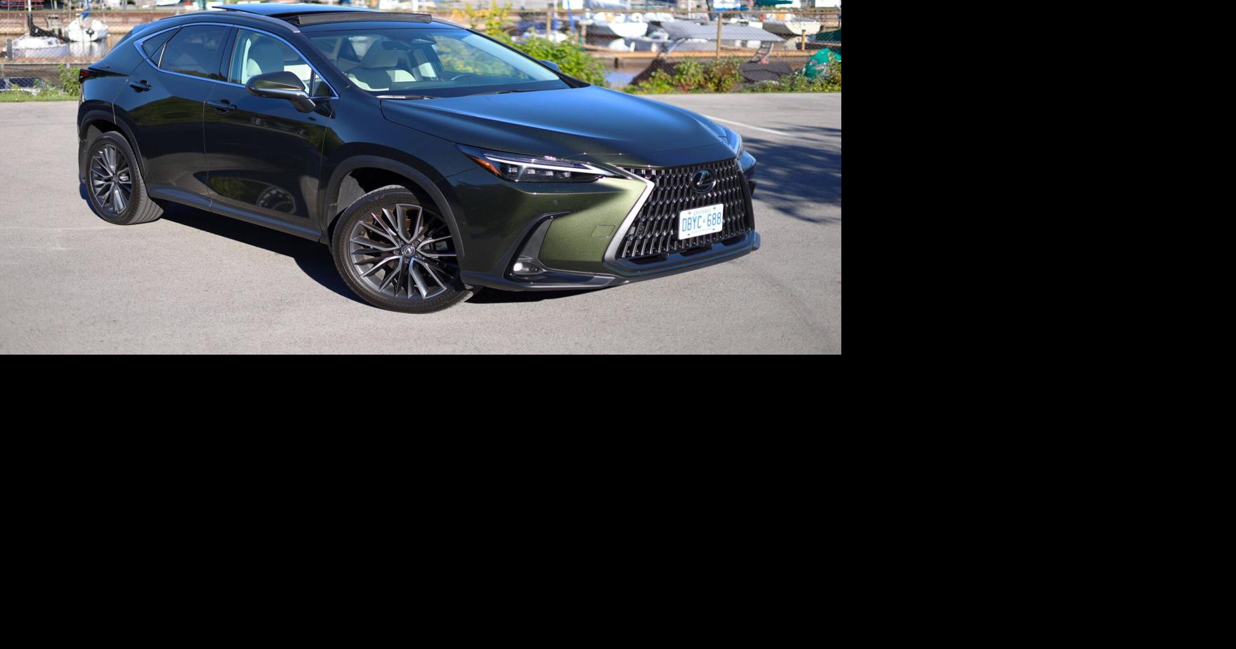 2025 Lexus NX 350h Hybrid, a Goldilocks Lexus crossover SUV