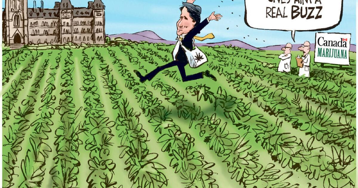 Patrick Corrigan: Marijuana taxes