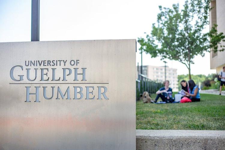 What Ontario university applications are indicating for fall