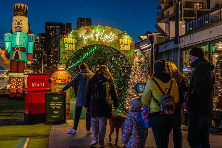 11 of the best Toronto Christmas light displays