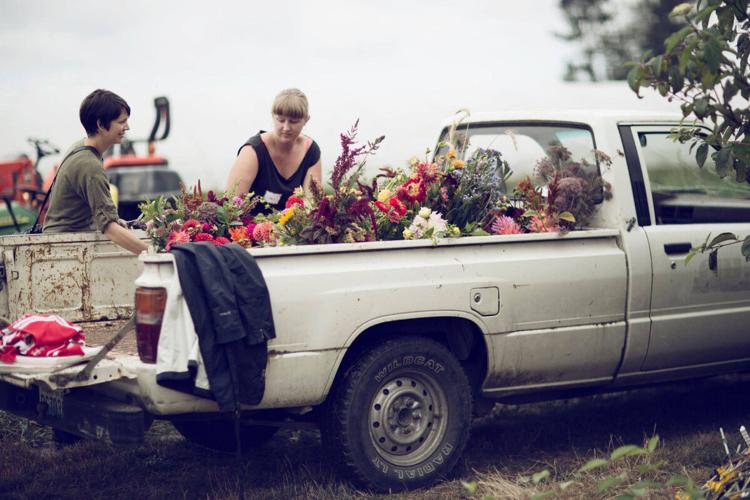 Slow flower movement blooming in Ontario