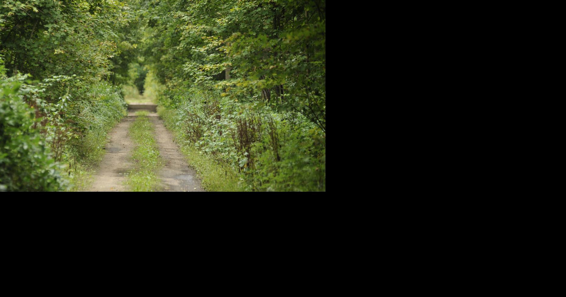 Simcoe County forest a haven for recreational pursuits